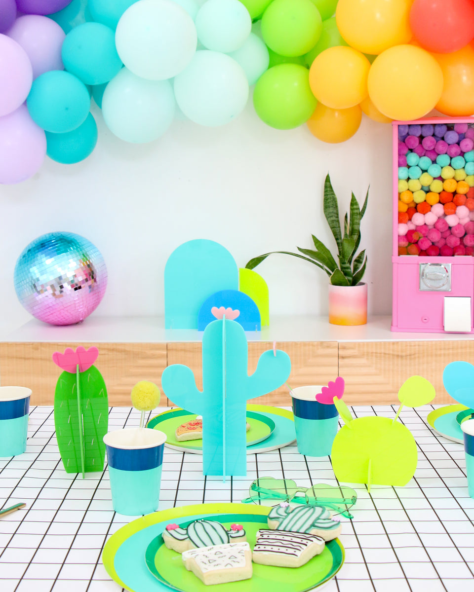 Acrylic cactus set – Kailo Chic