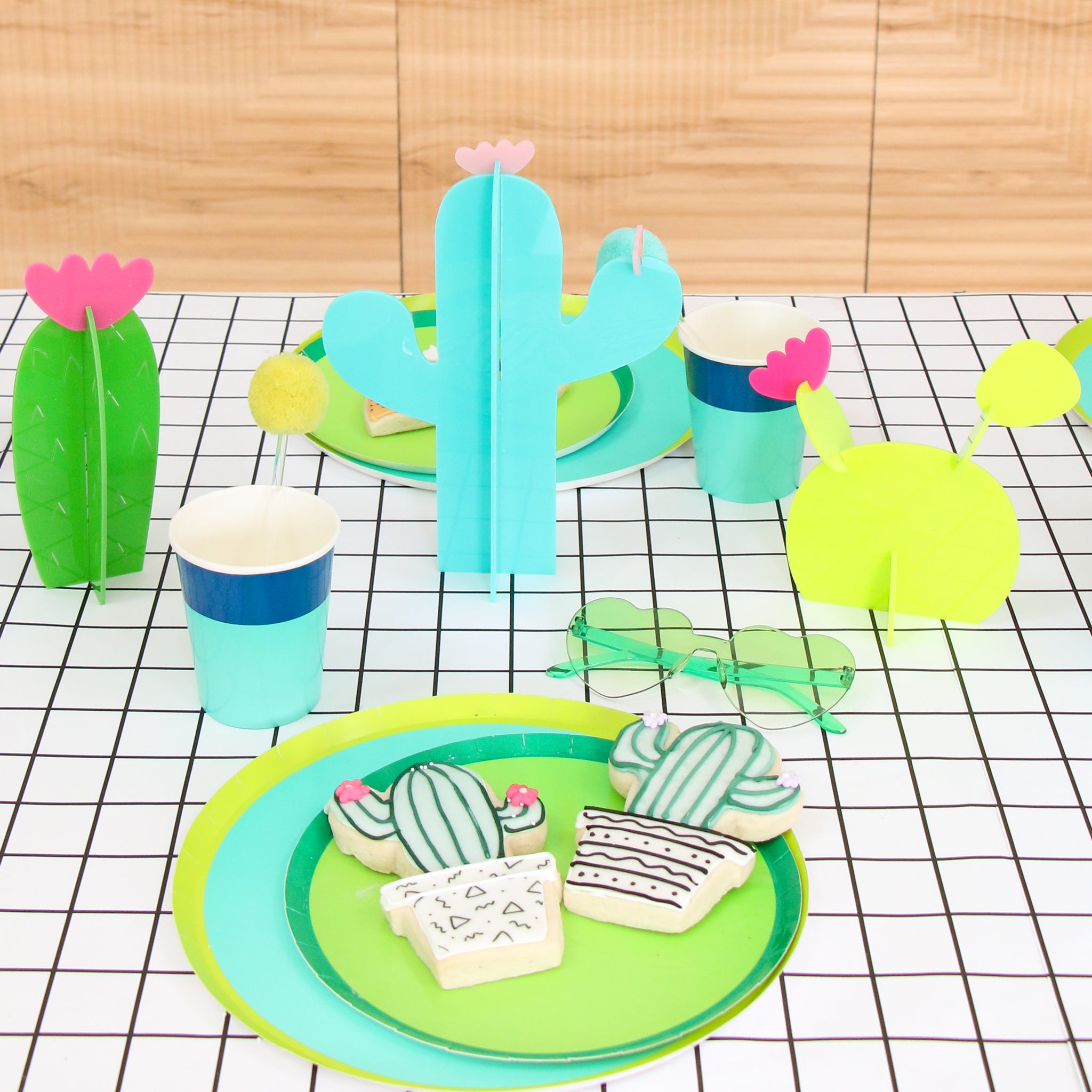 Acrylic cactus set – Kailo Chic